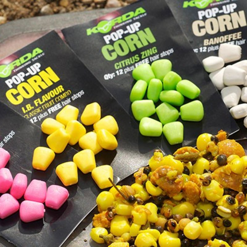 KORDA | Corn Pop Up